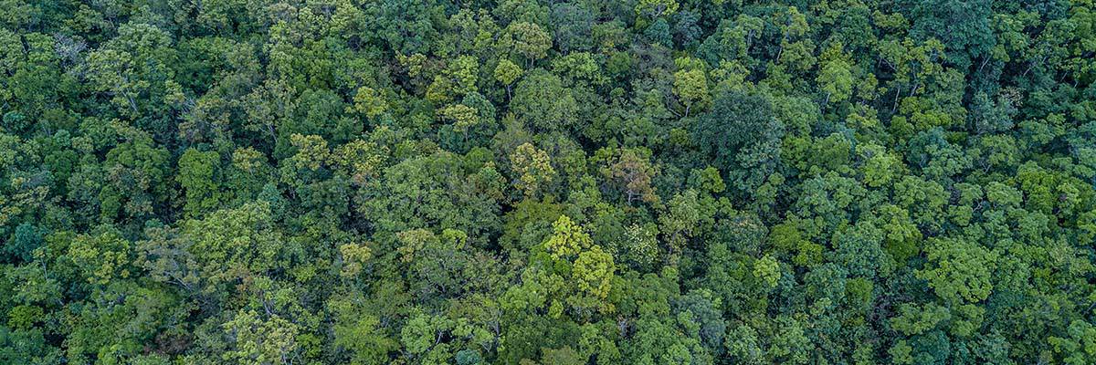 Cut and Fill Analysis: The Key to Efficient Construction and Land ...